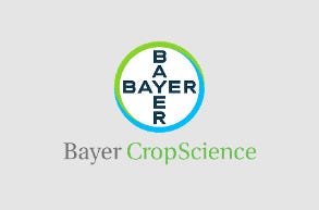 Identify Pests by Droppings: A Complete Guide