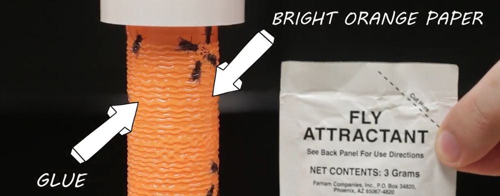 Musca-Stik Sticky Fly Trap