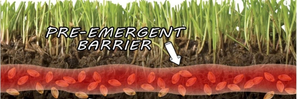 Pre-Emergent Herbicides for Weed Control | Shop Pre-Emergent Herbicide ...